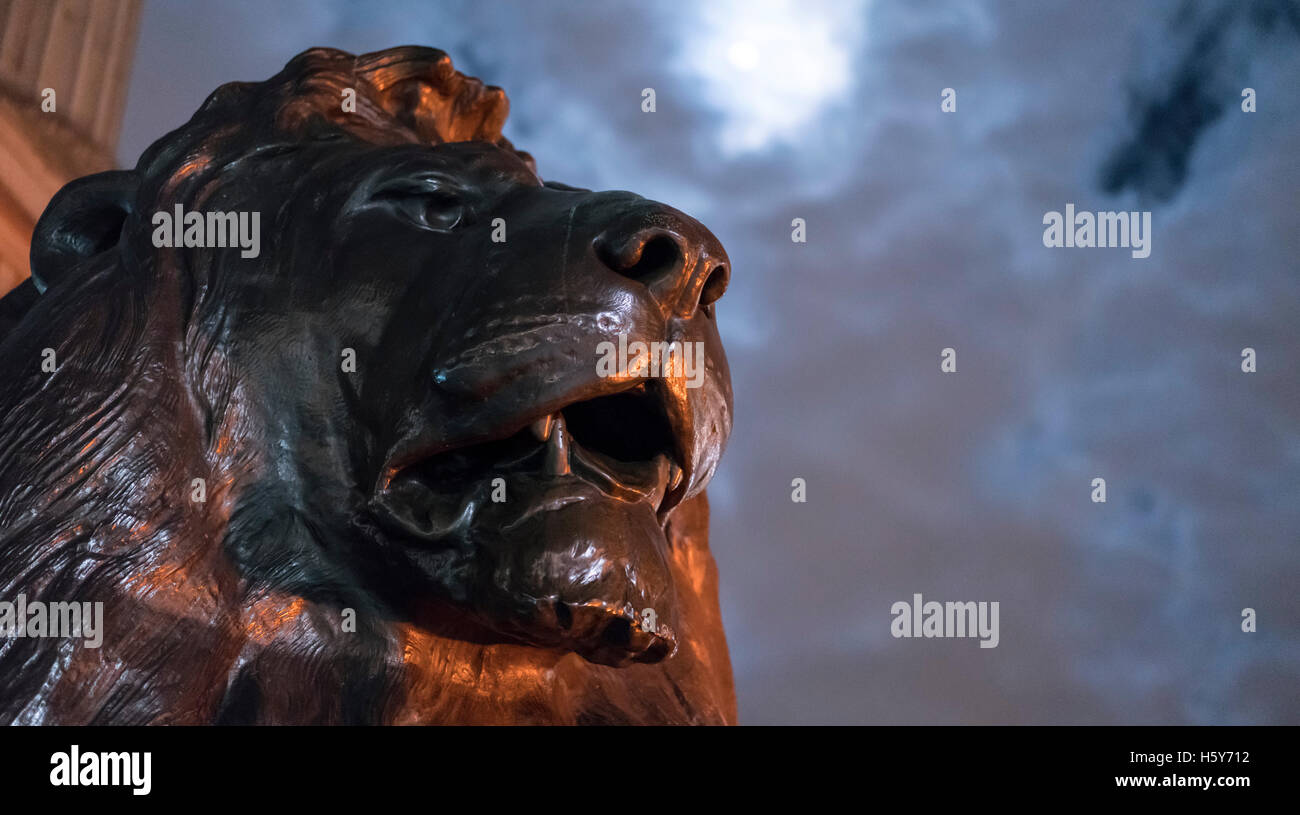 The famous Lions at Trafalgar Square London at night Stock Photo - Alamy