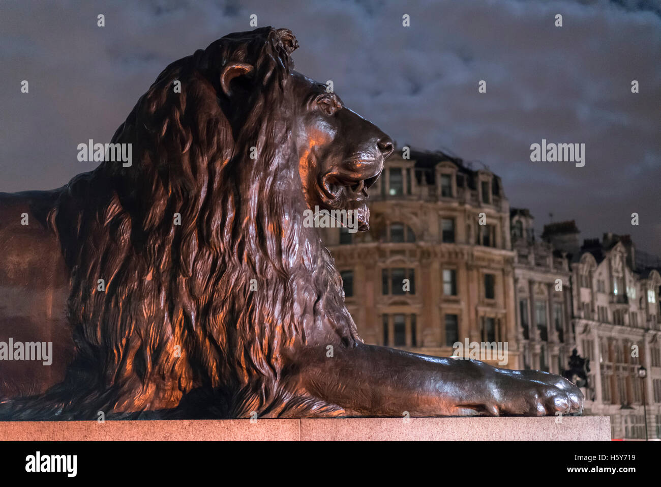 The famous Lions at Trafalgar Square London at night Stock Photo - Alamy
