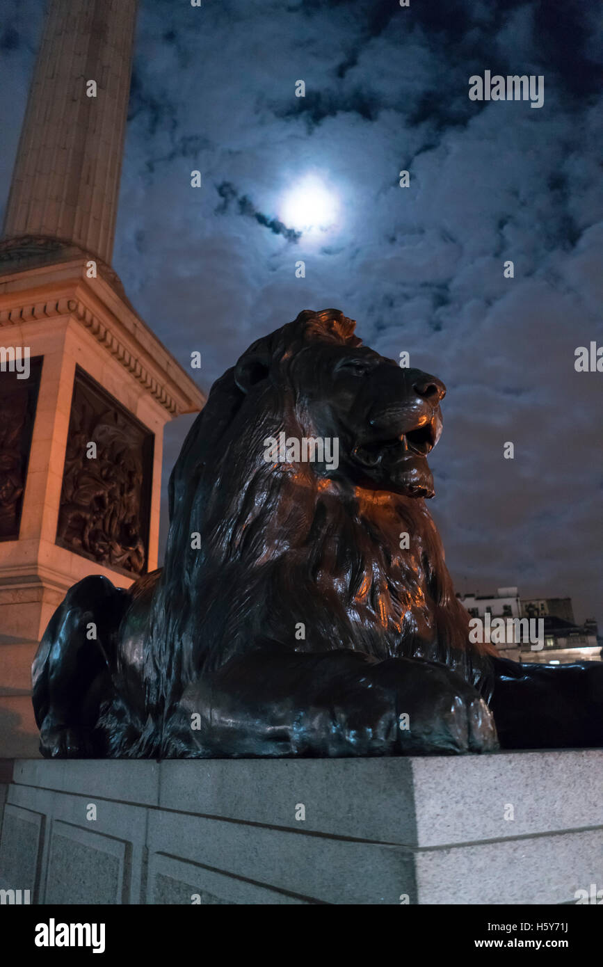 The famous Lions at Trafalgar Square London at night Stock Photo - Alamy