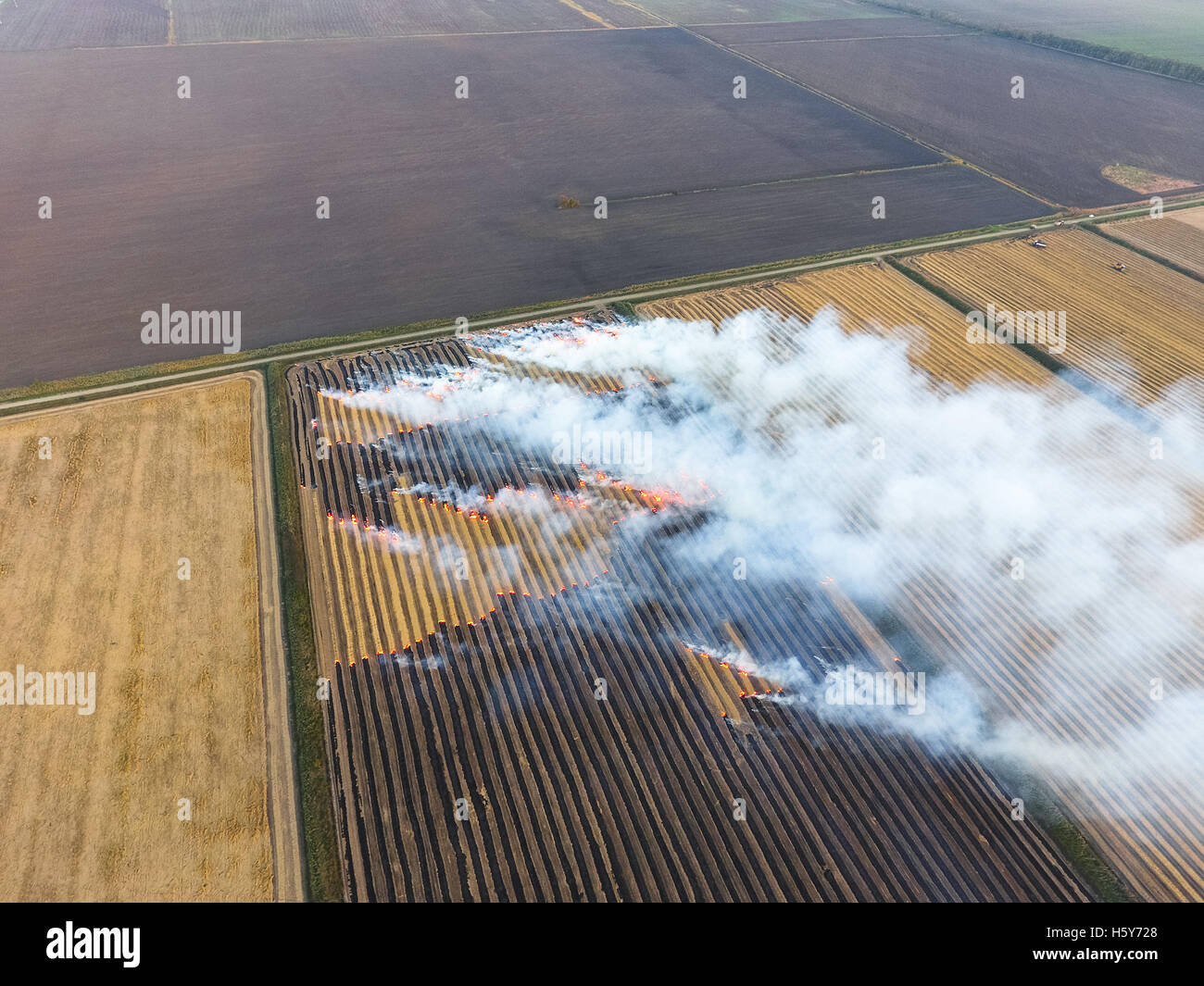 Rice field fire top view hi-res stock photography and images - Alamy
