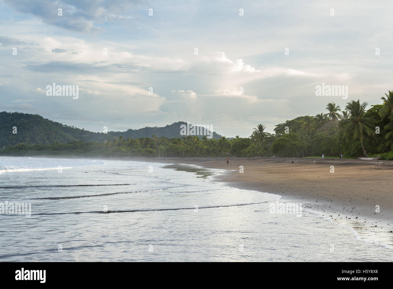 Tambor, Costa Rica - June 20: Young surfer walking the beach. June 20 ...
