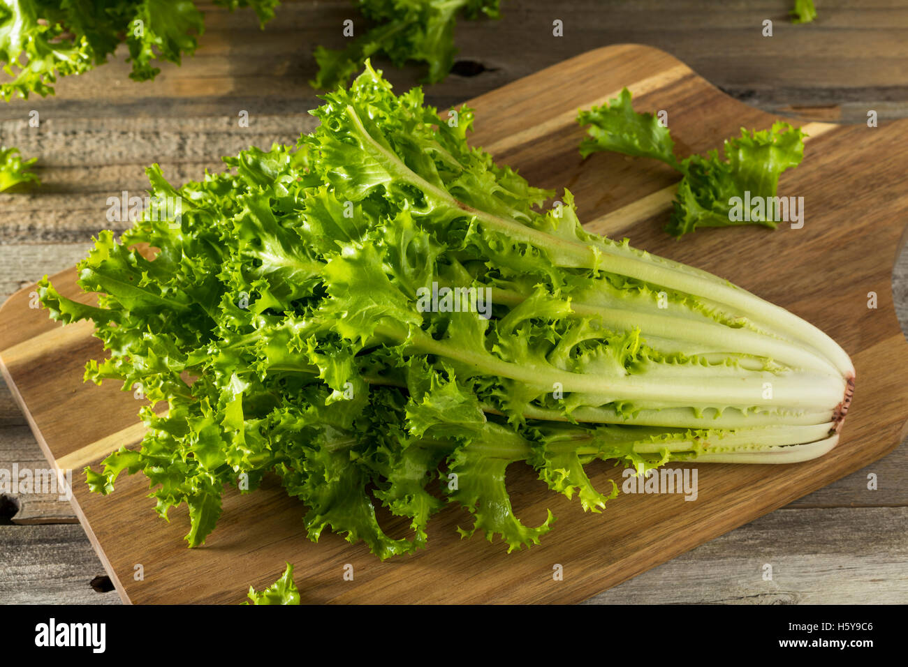 Raw Green Organic Endive Ready to Eat Stock Photo - Alamy