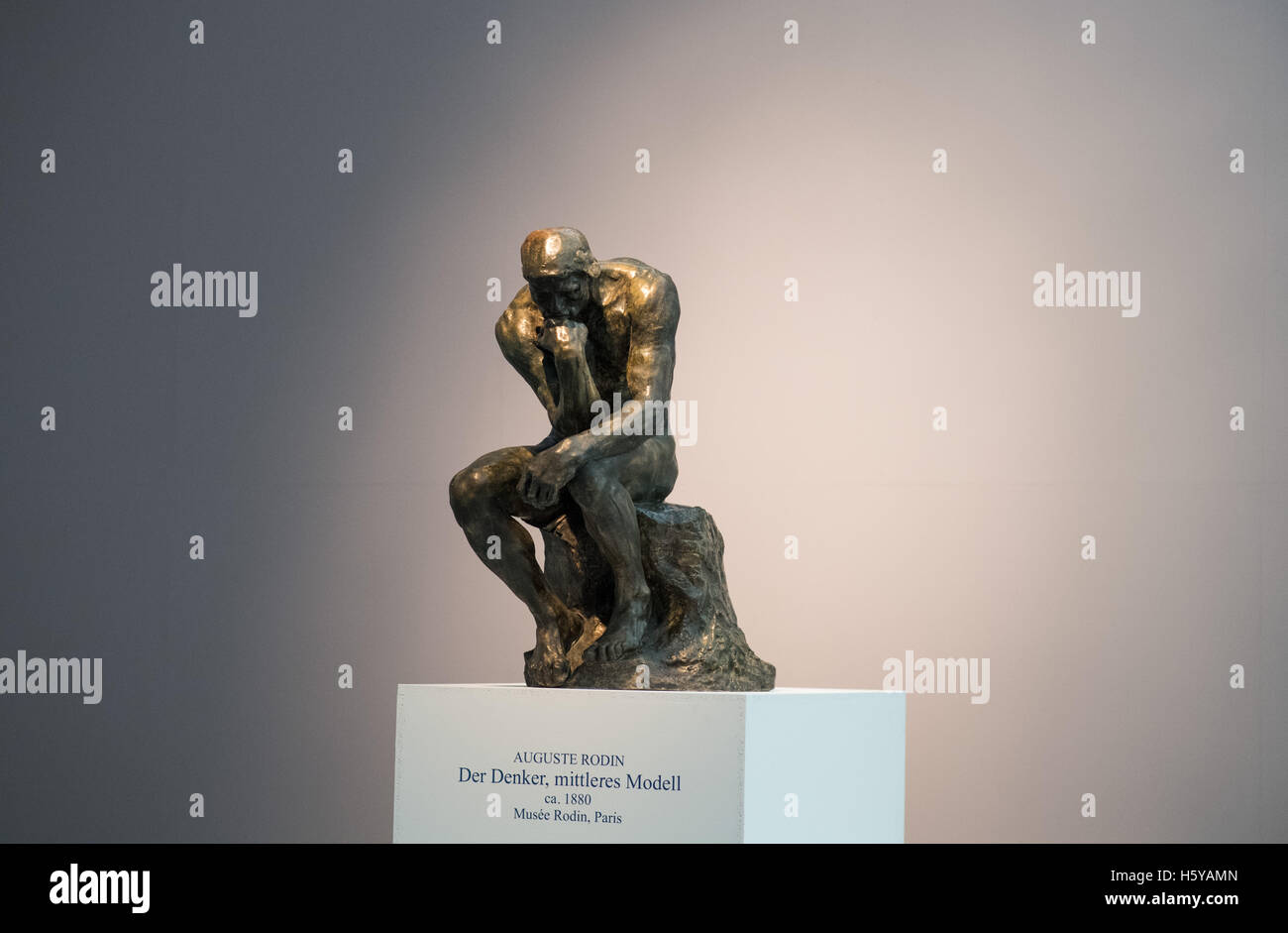 Rodin der denker hi-res stock photography and images - Alamy