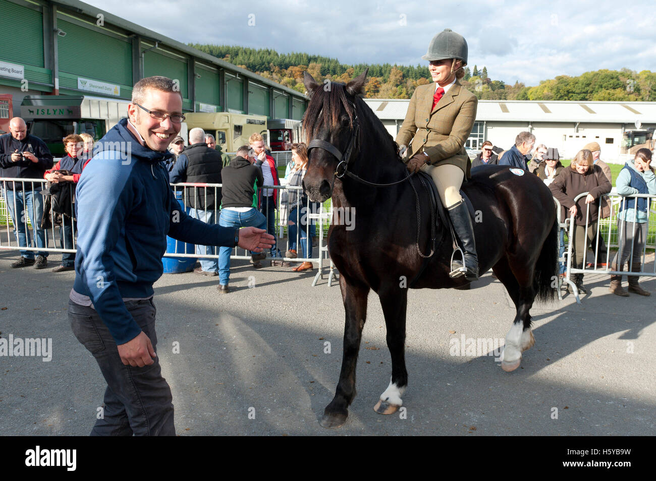 Welsh section d hi-res stock photography and images - Alamy