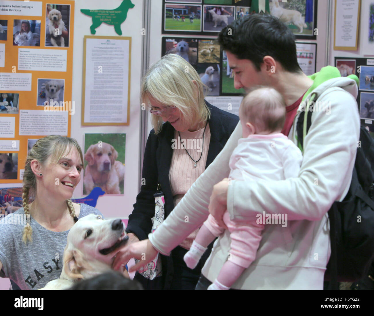 Discover dogs show hi-res stock photography and images - Alamy