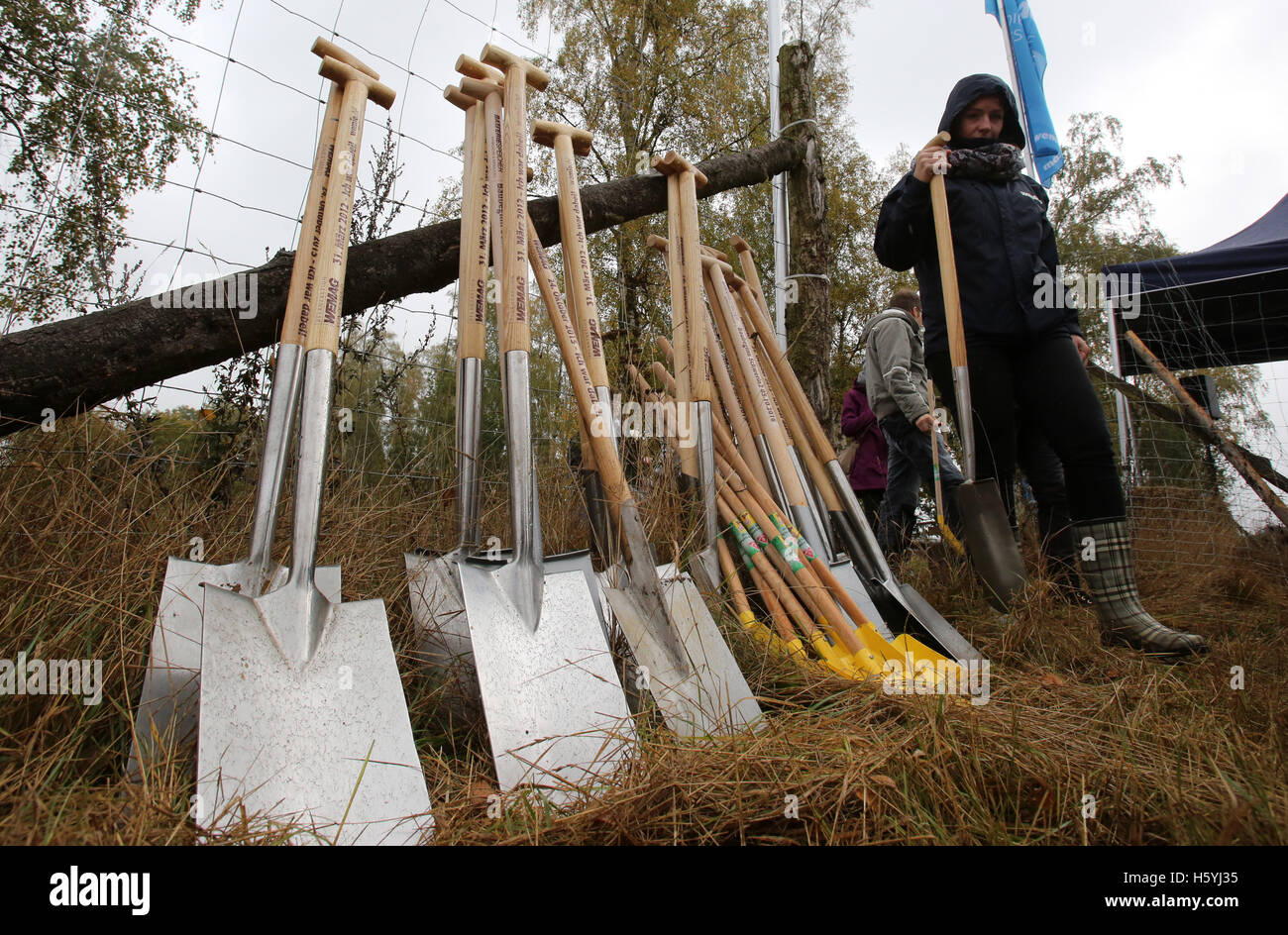 Malchow, Germany. 22nd Oct, 2016. A total of 2000 trees are planted ...