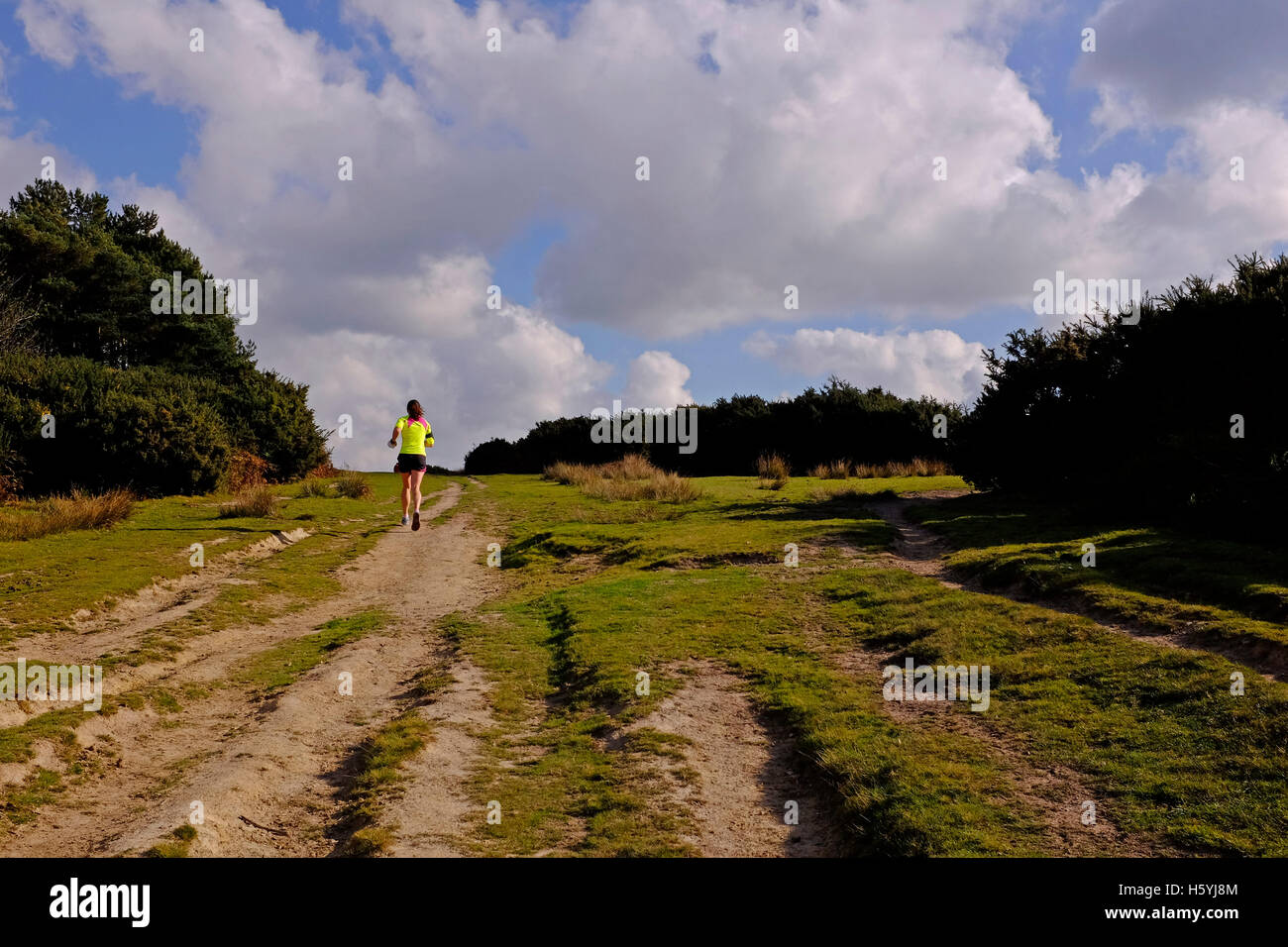 Ashdown Forest Sussex, UK. 22nd Oct, 2016. A runner enjoys the ...