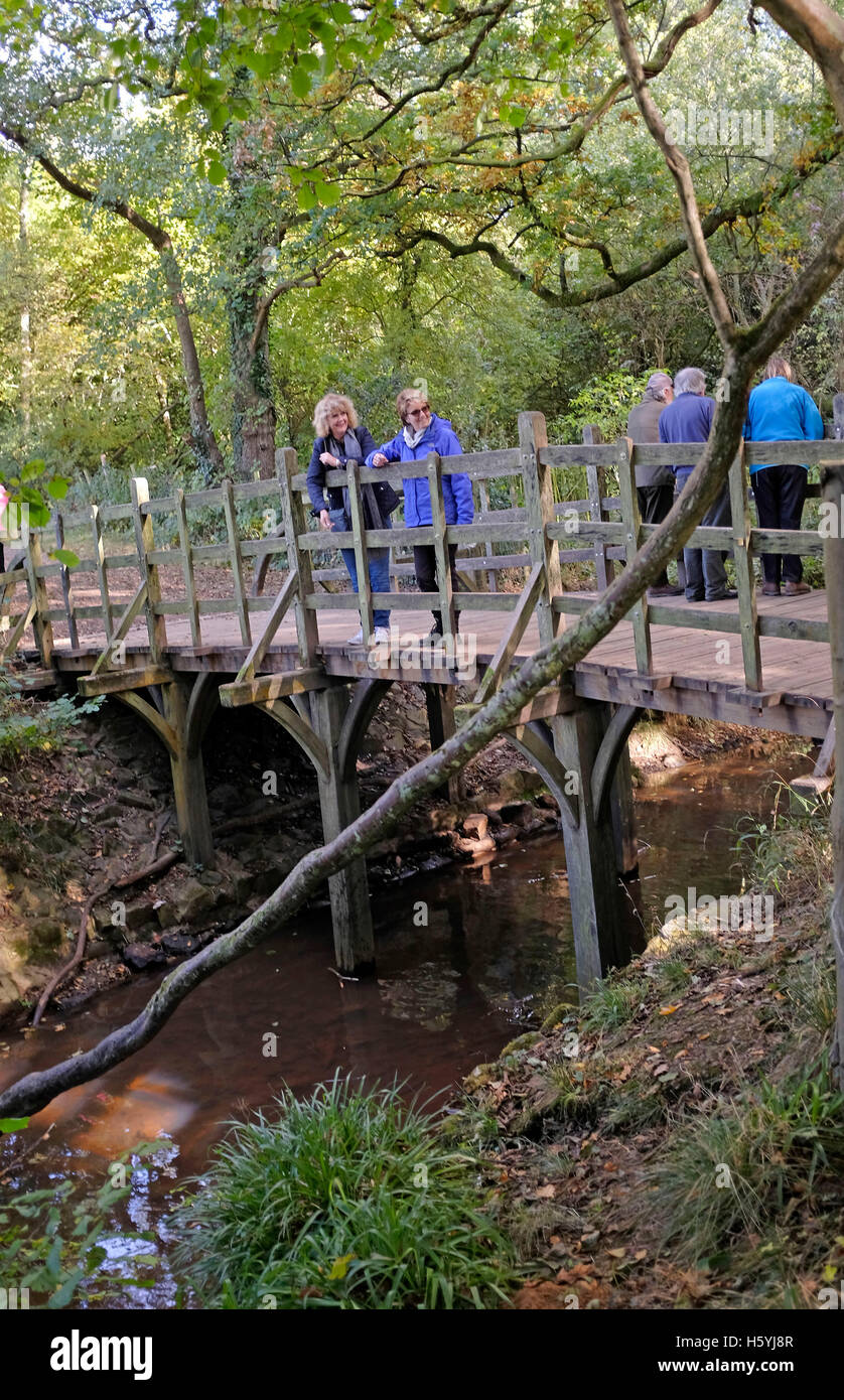 Pooh sticks bridge ashdown forest hi-res stock photography and images ...