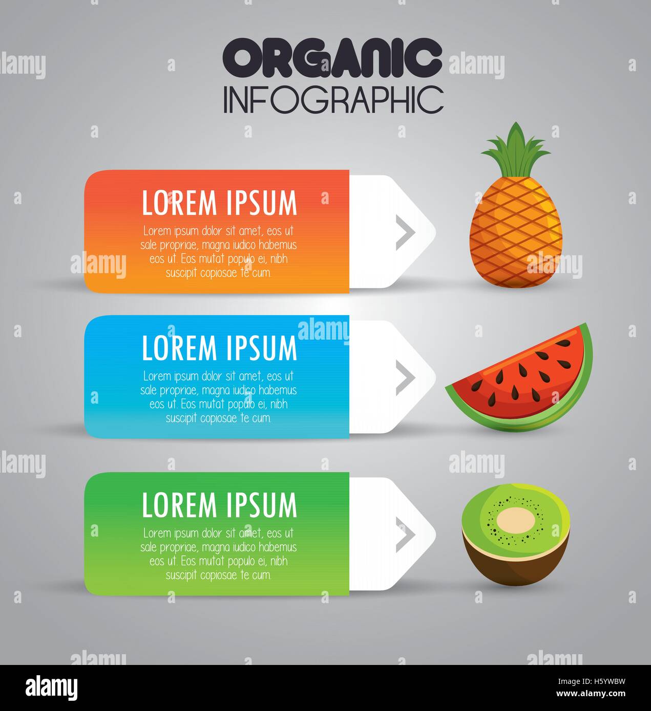 organic infographic presentation icon Stock Vector Image & Art - Alamy