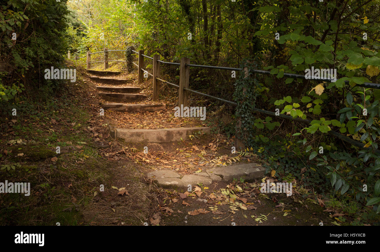 Steps path hi-res stock photography and images - Alamy