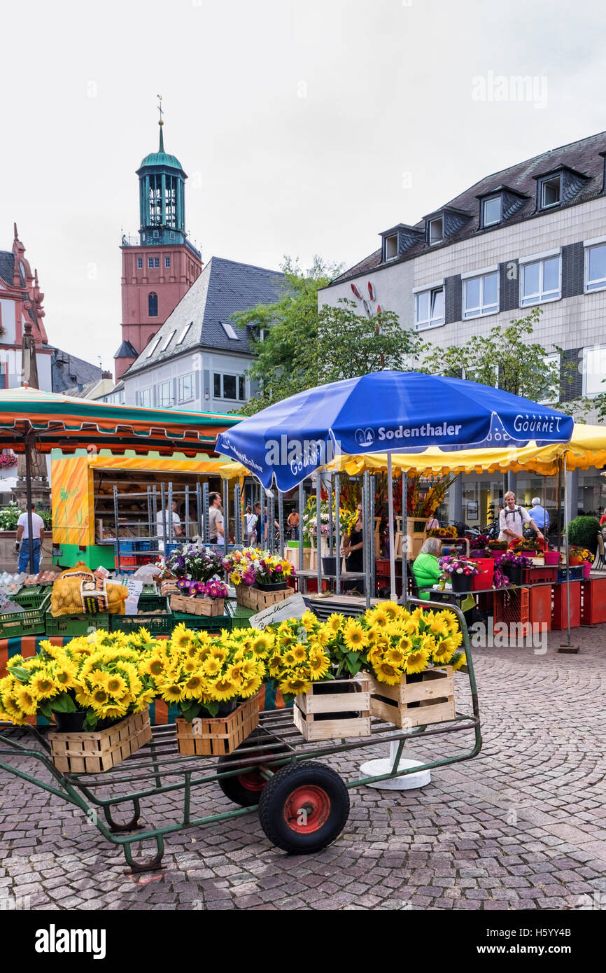Farmers Market stalls selling plants, fresh produce, vegetables and ...