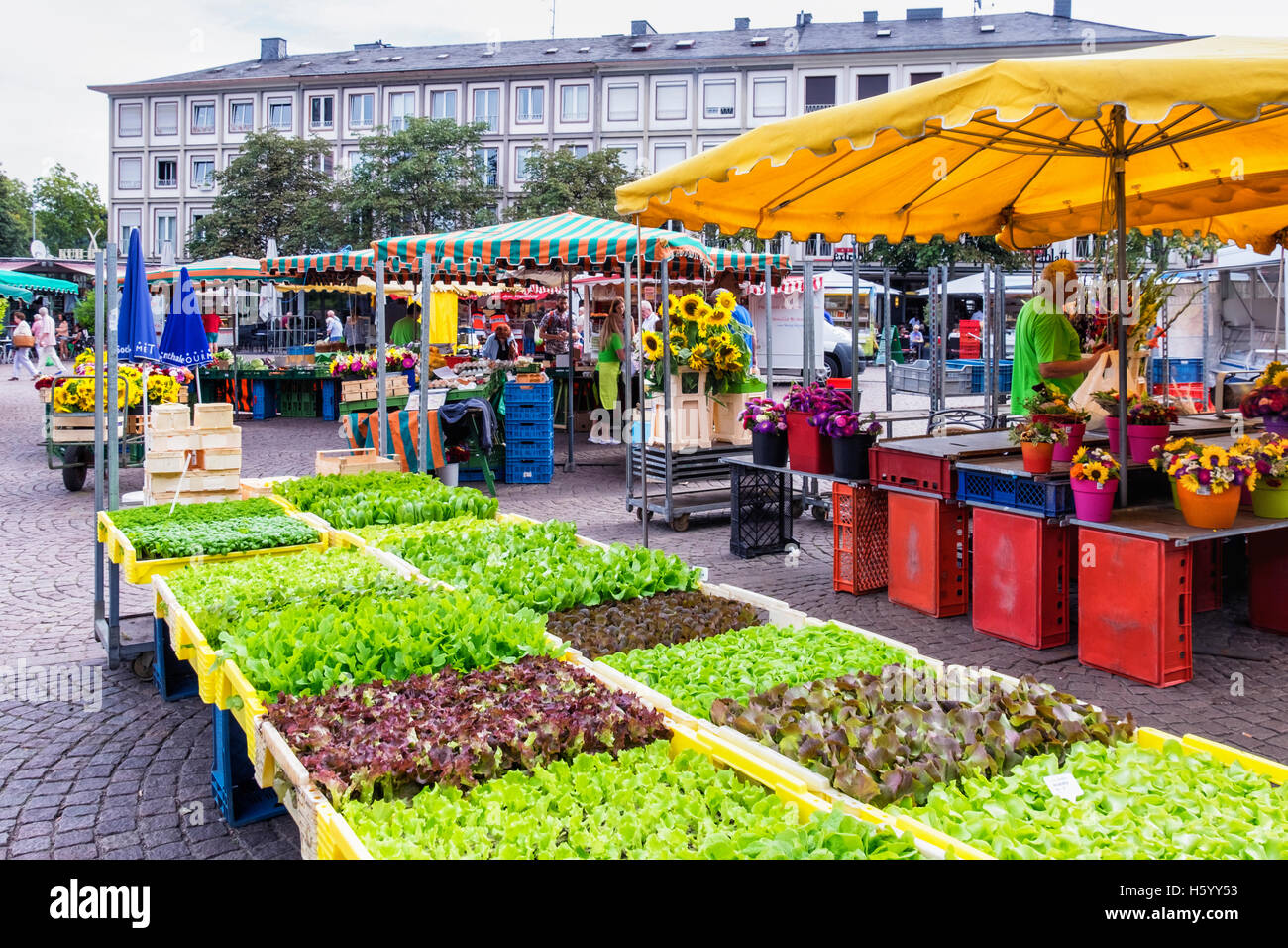 Farmers Market stalls selling baby lettuce plants, fresh produce ...
