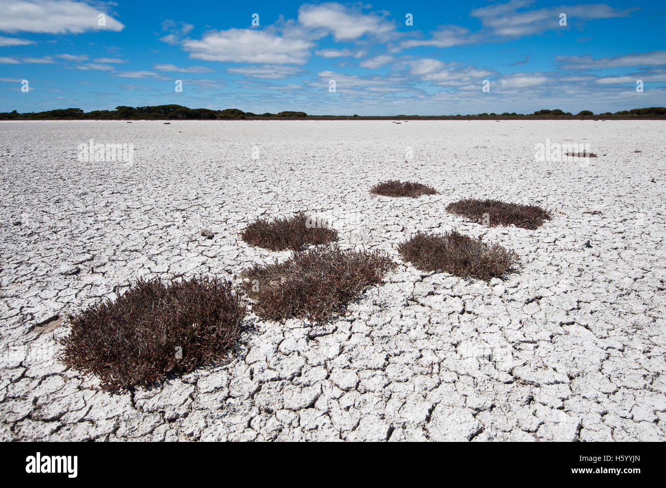 Coorong national park hi-res stock photography and images - Alamy