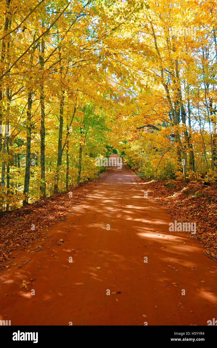 Red clay road in Prince Edward island, canada Stock Photo - Alamy