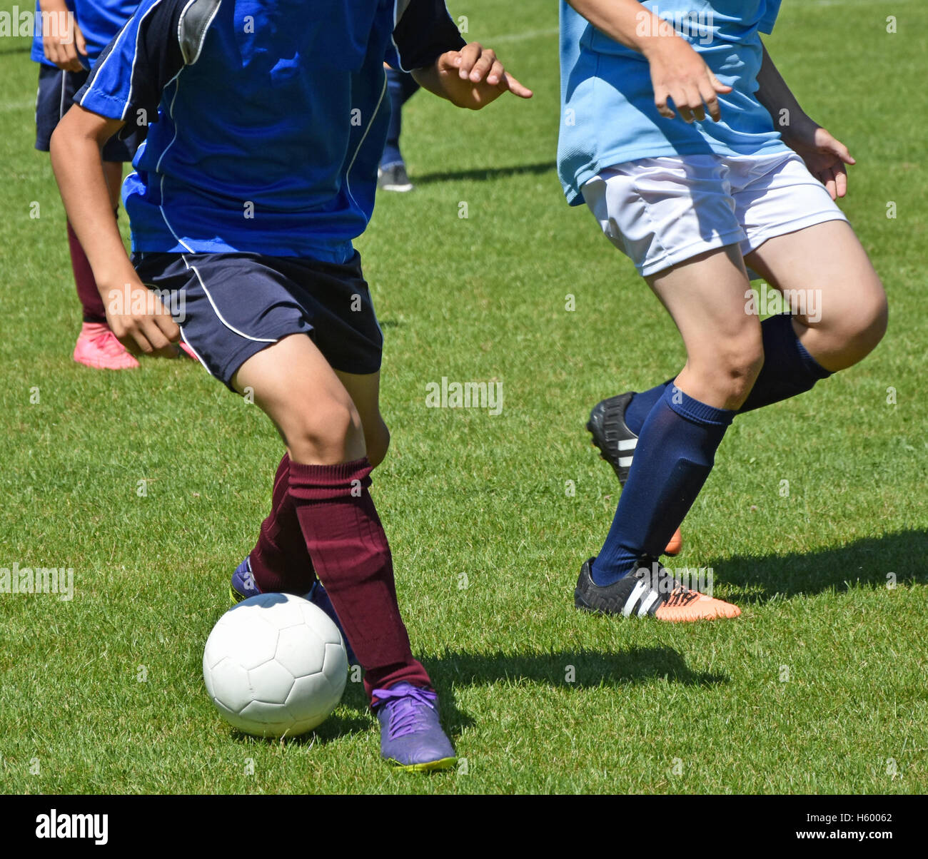 Kids are playing soccer in summer Stock Photo - Alamy