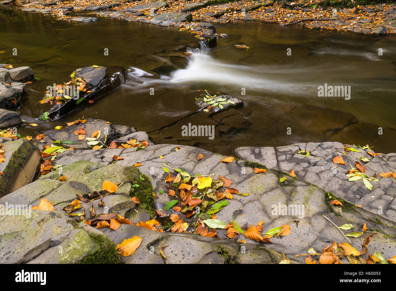 River brock hi-res stock photography and images - Alamy