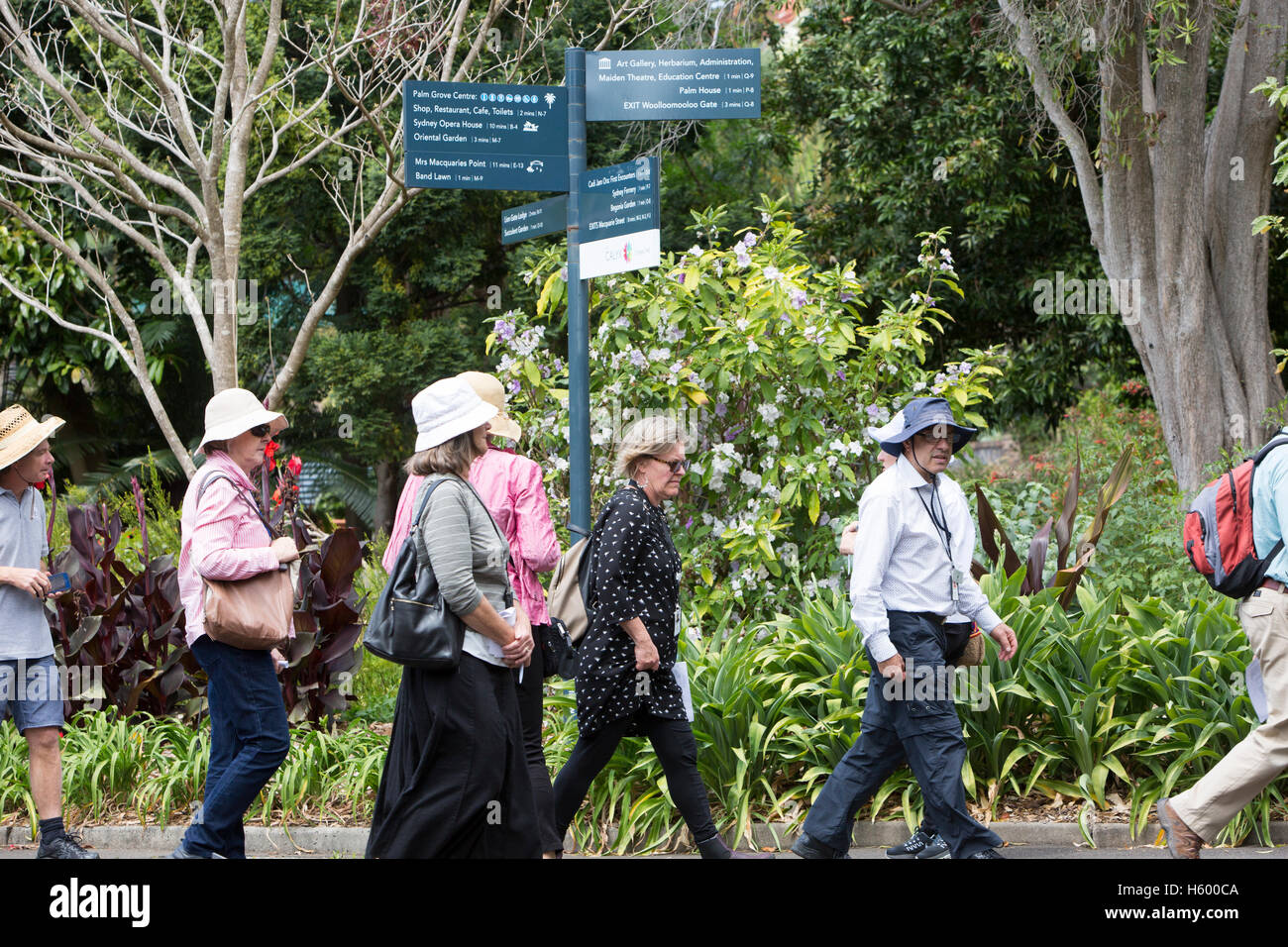 Royal Botanic Gardens in Sydney city centre Stock Photo - Alamy
