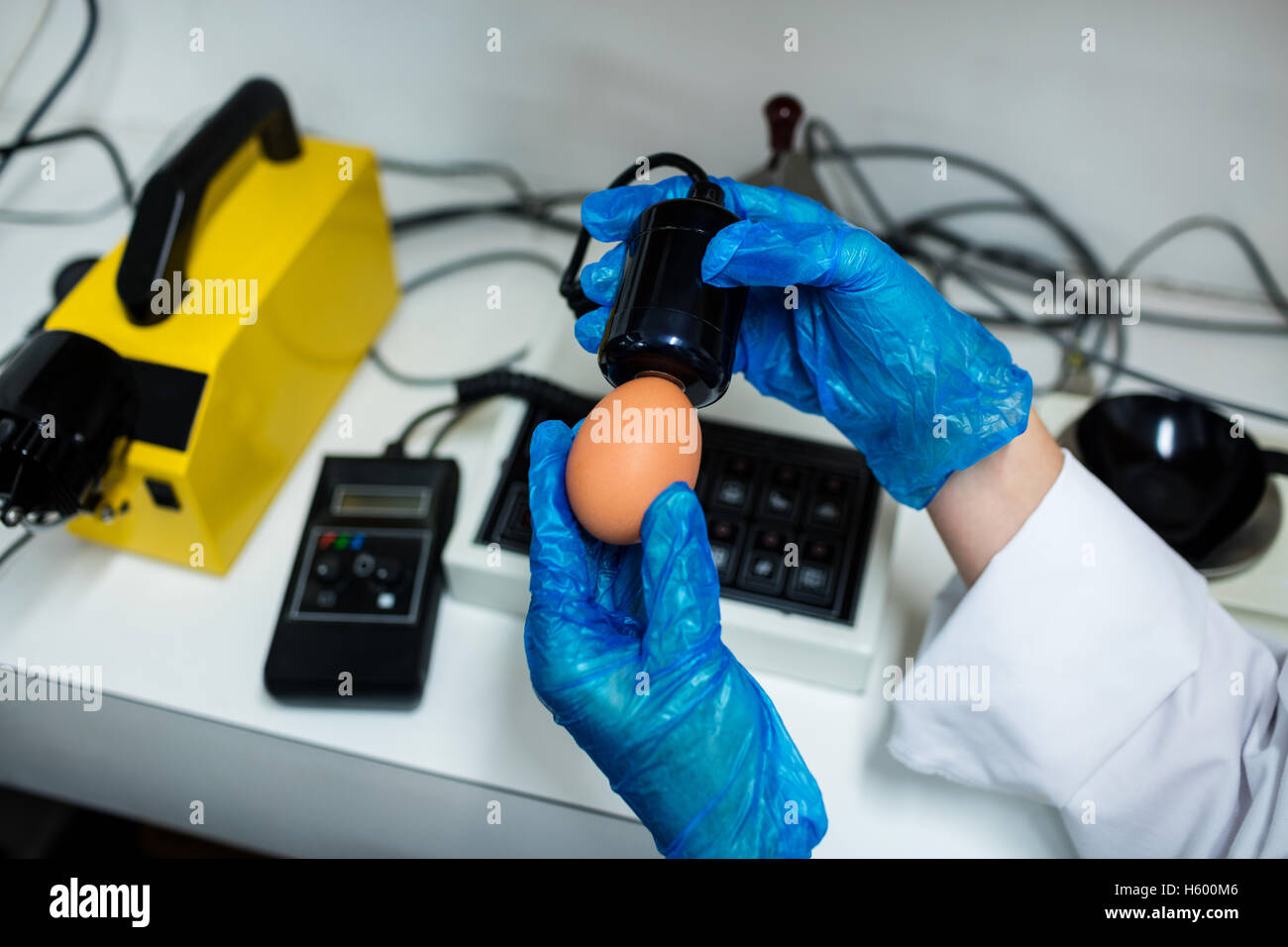Female staff examine egg on digital egg monitor Stock Photo - Alamy