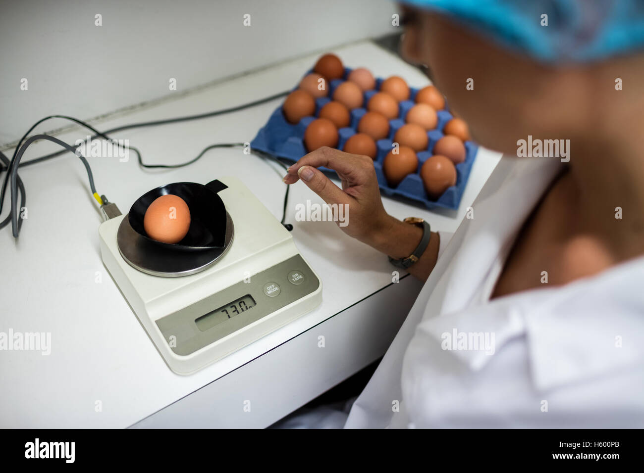Female staff examine egg on digital egg monitor Stock Photo - Alamy
