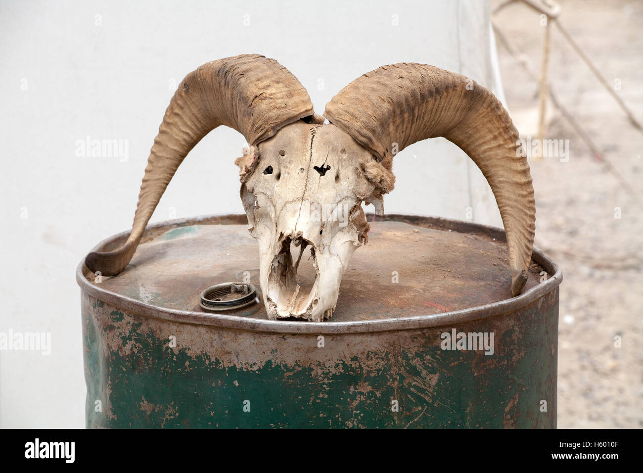 Goat skin tent hi-res stock photography and images - Alamy