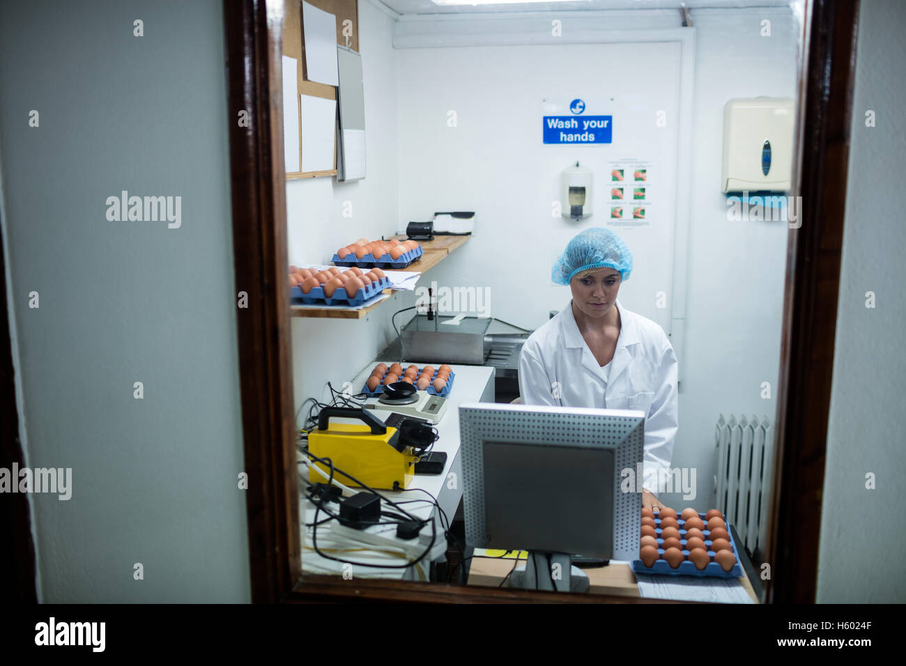 Female staff working on desktop computer Stock Photo - Alamy