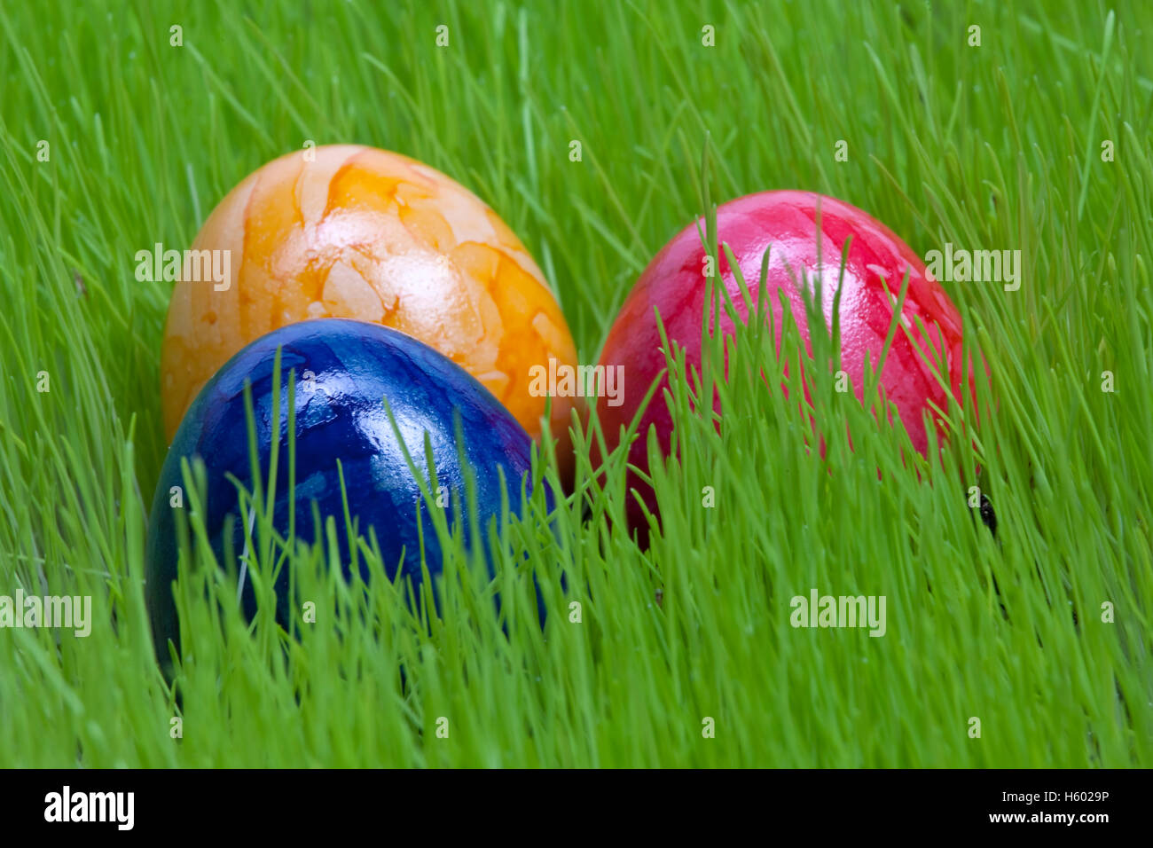 Easter eggs in grass Stock Photo - Alamy
