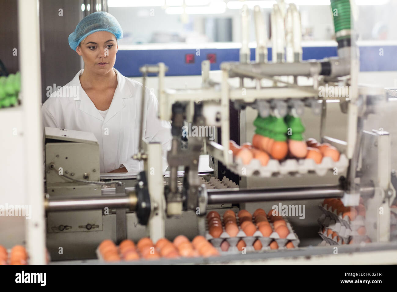 Conveyor belt egg hi-res stock photography and images - Alamy