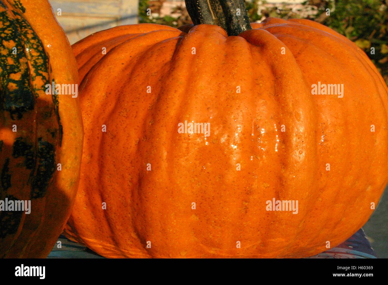 U pick vegetables and fruits hi-res stock photography and images - Alamy