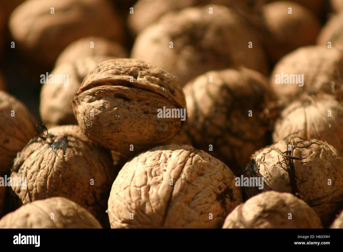 Many open close walnuts hi-res stock photography and images - Alamy