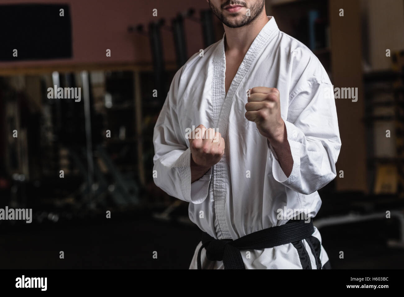 Man practicing karate Stock Photo - Alamy