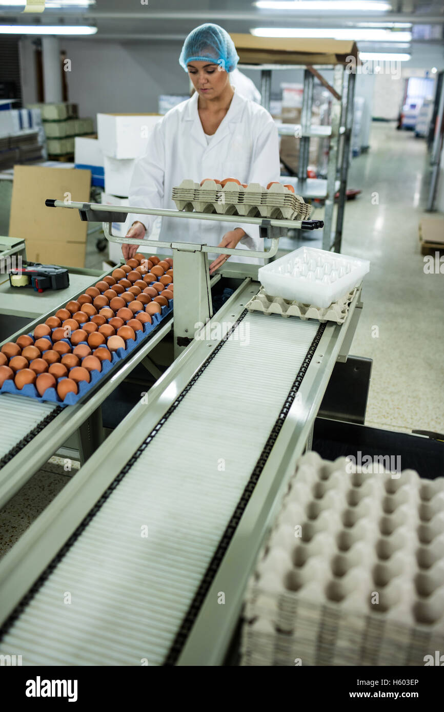 Female staff working in factory Stock Photo - Alamy