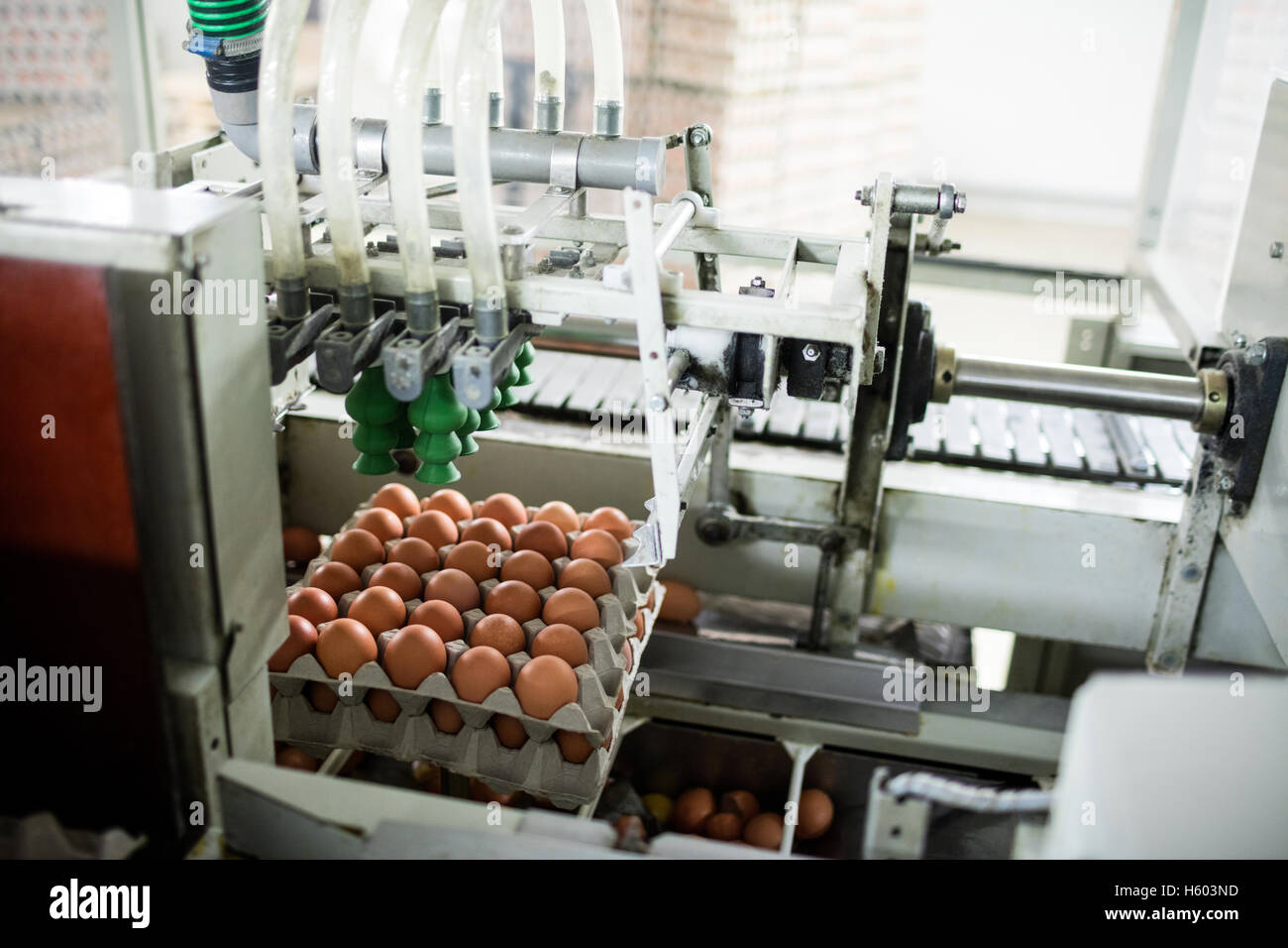 Moving production line hi-res stock photography and images - Alamy
