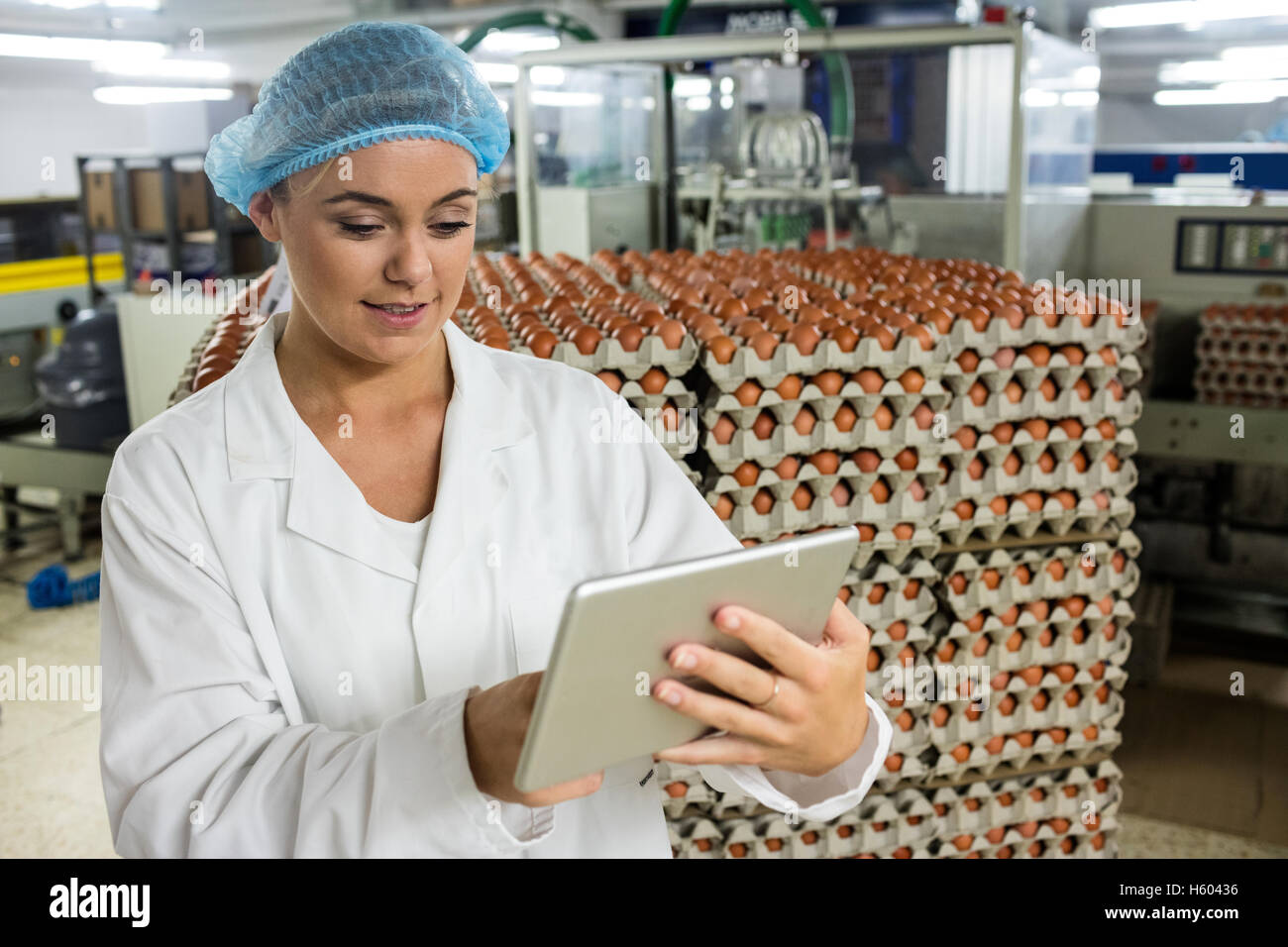 Female staff using digital tablet Stock Photo - Alamy