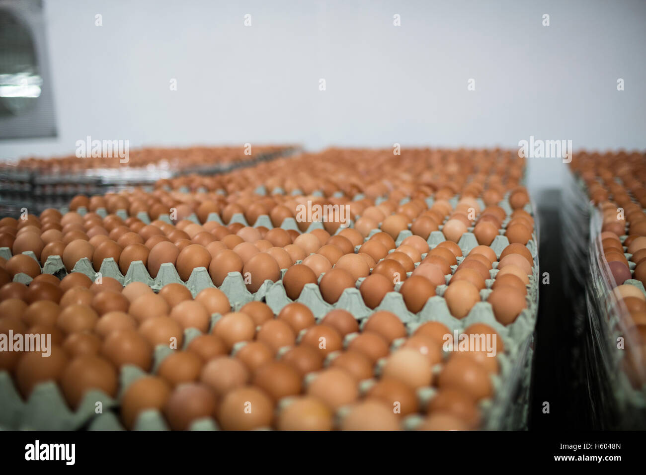 Shell manufacturing process hi-res stock photography and images - Alamy