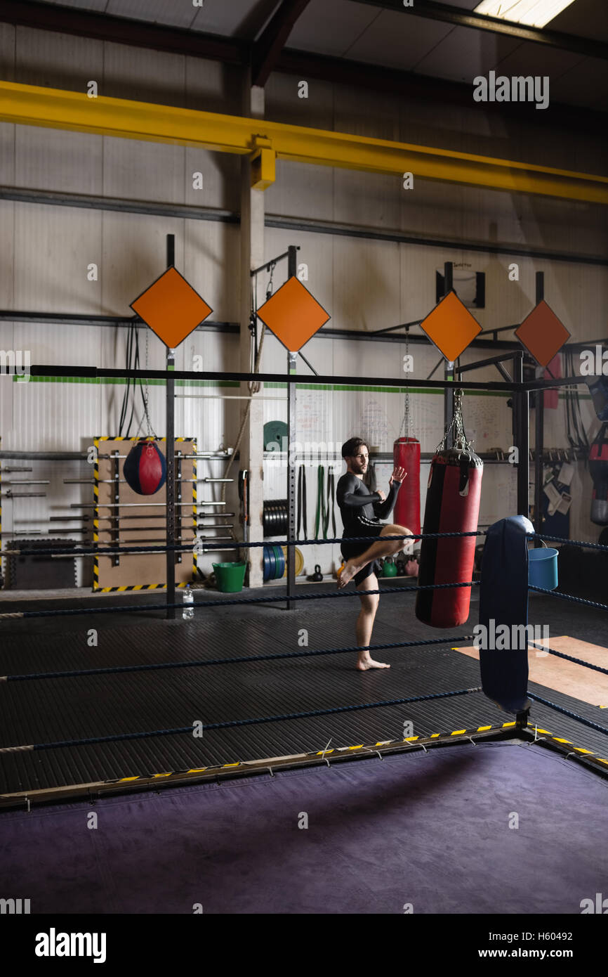 Boxer practicing boxing with punching bag Stock Photo - Alamy