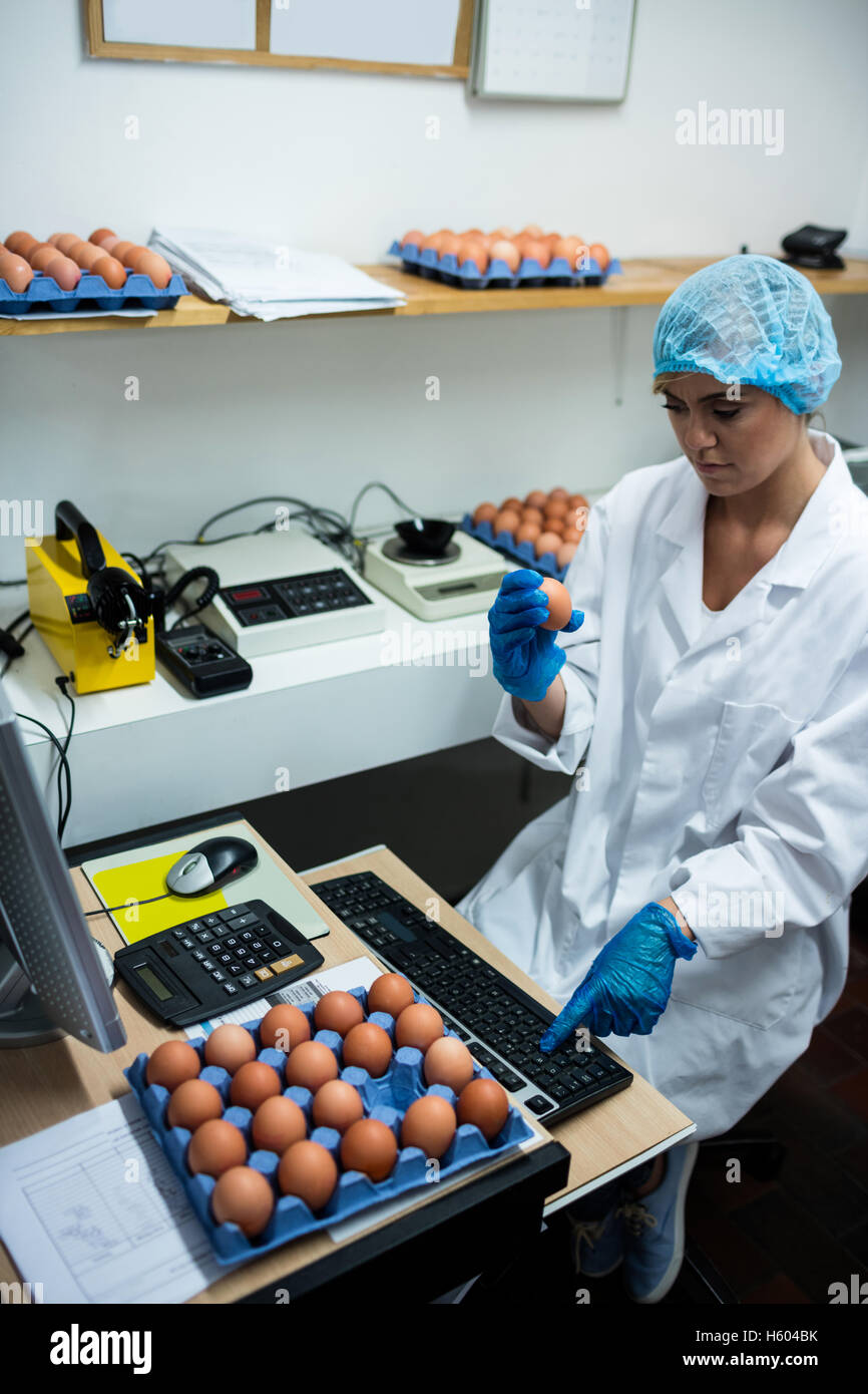 Attentive female staff examine egg Stock Photo - Alamy