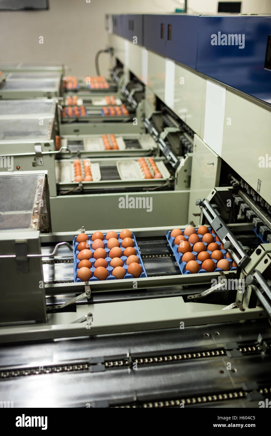 Egg packing machine hi-res stock photography and images - Alamy