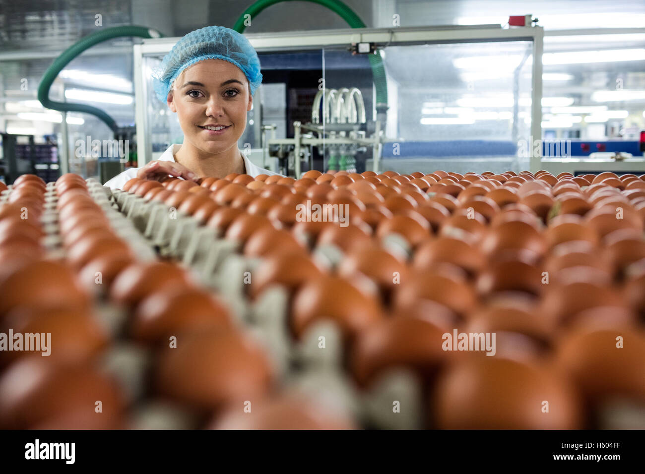 Portrait of female staff examine eggs Stock Photo - Alamy