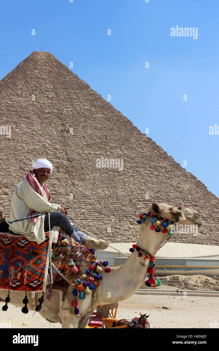 Egyptian Camel Man Stock Photo - Alamy