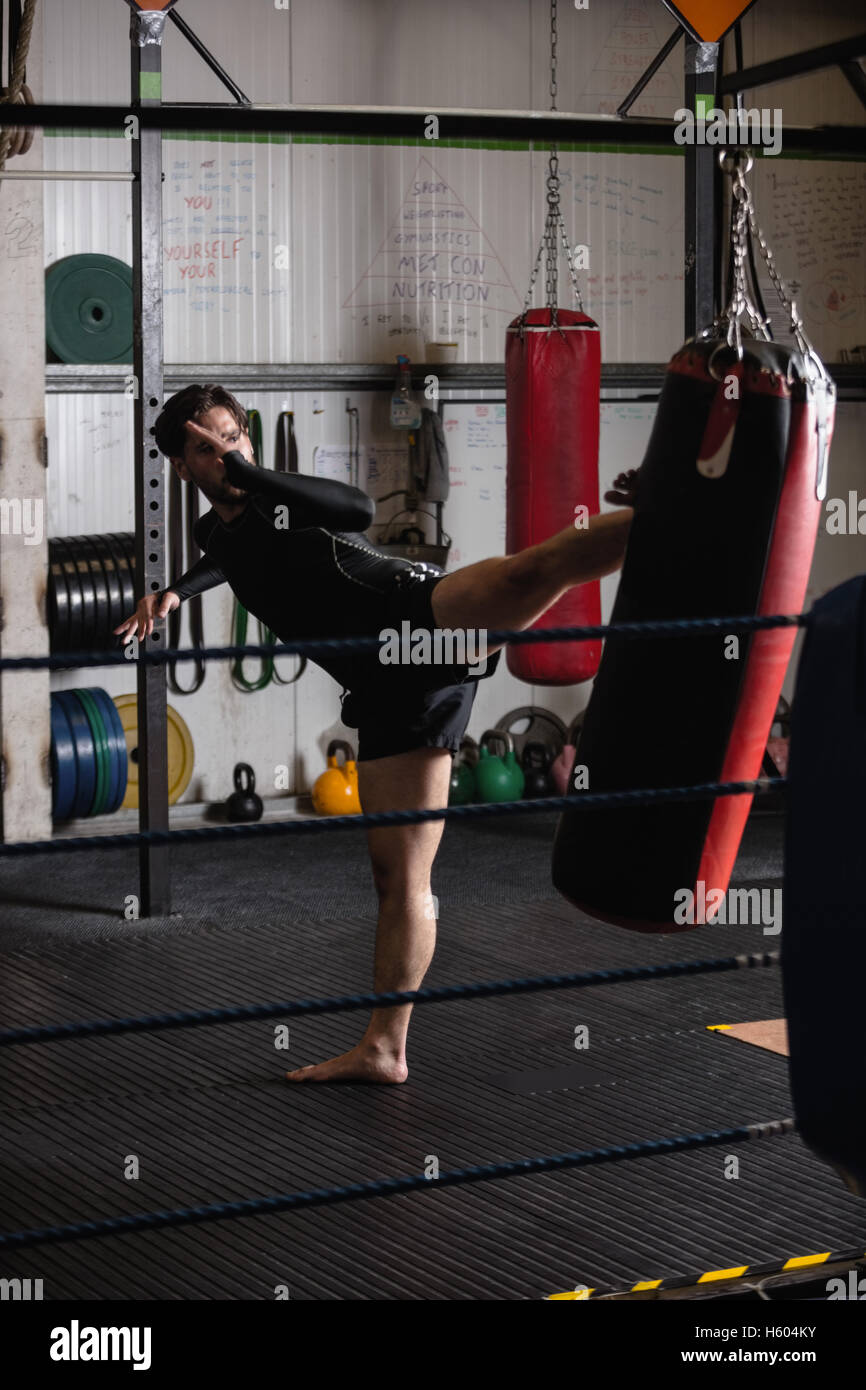 Boxer practicing boxing with punching bag Stock Photo - Alamy