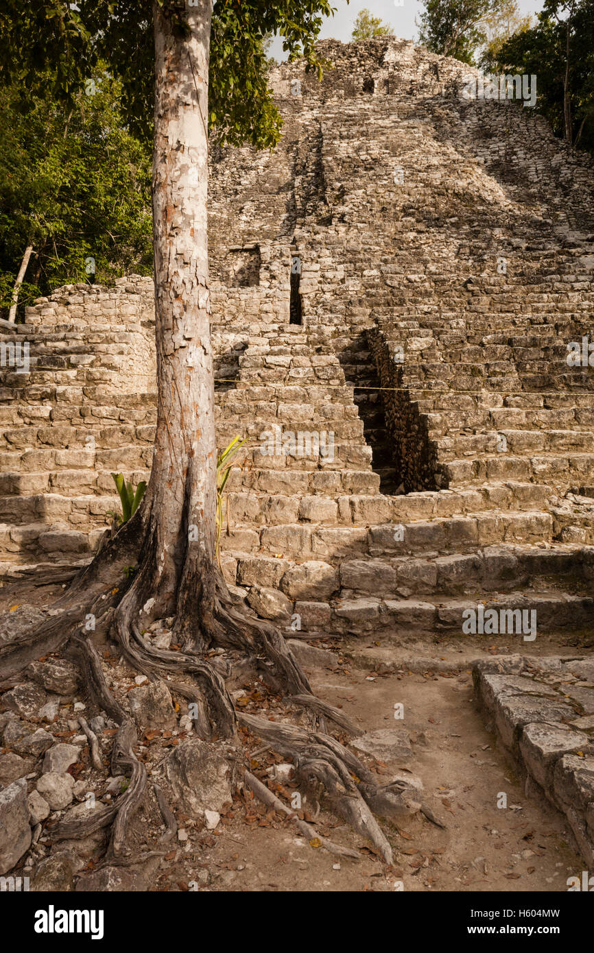 Coba - Mayan ruins Stock Photo - Alamy