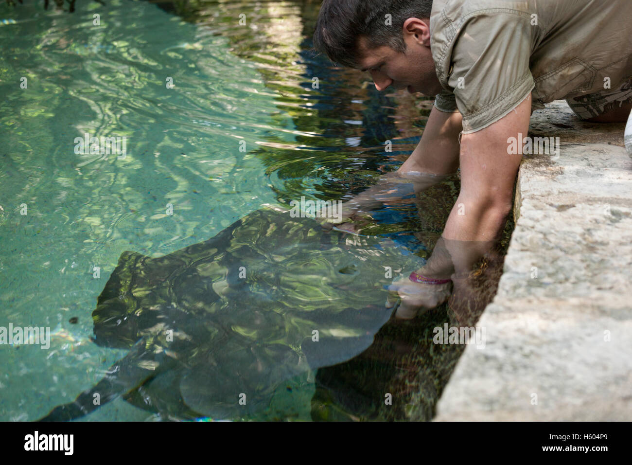 Man with stingray Stock Photo - Alamy