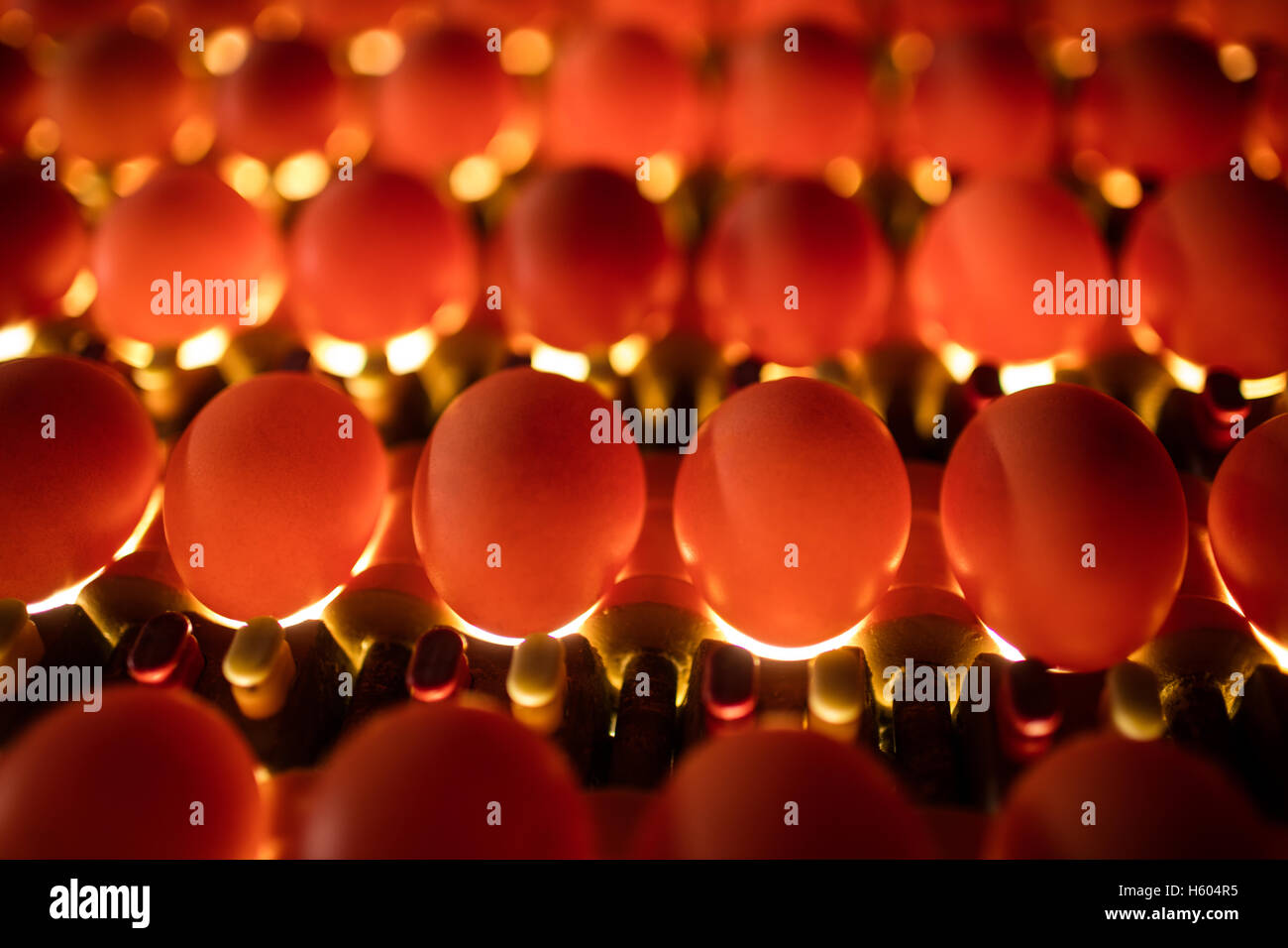 Shell quality control hi-res stock photography and images - Alamy