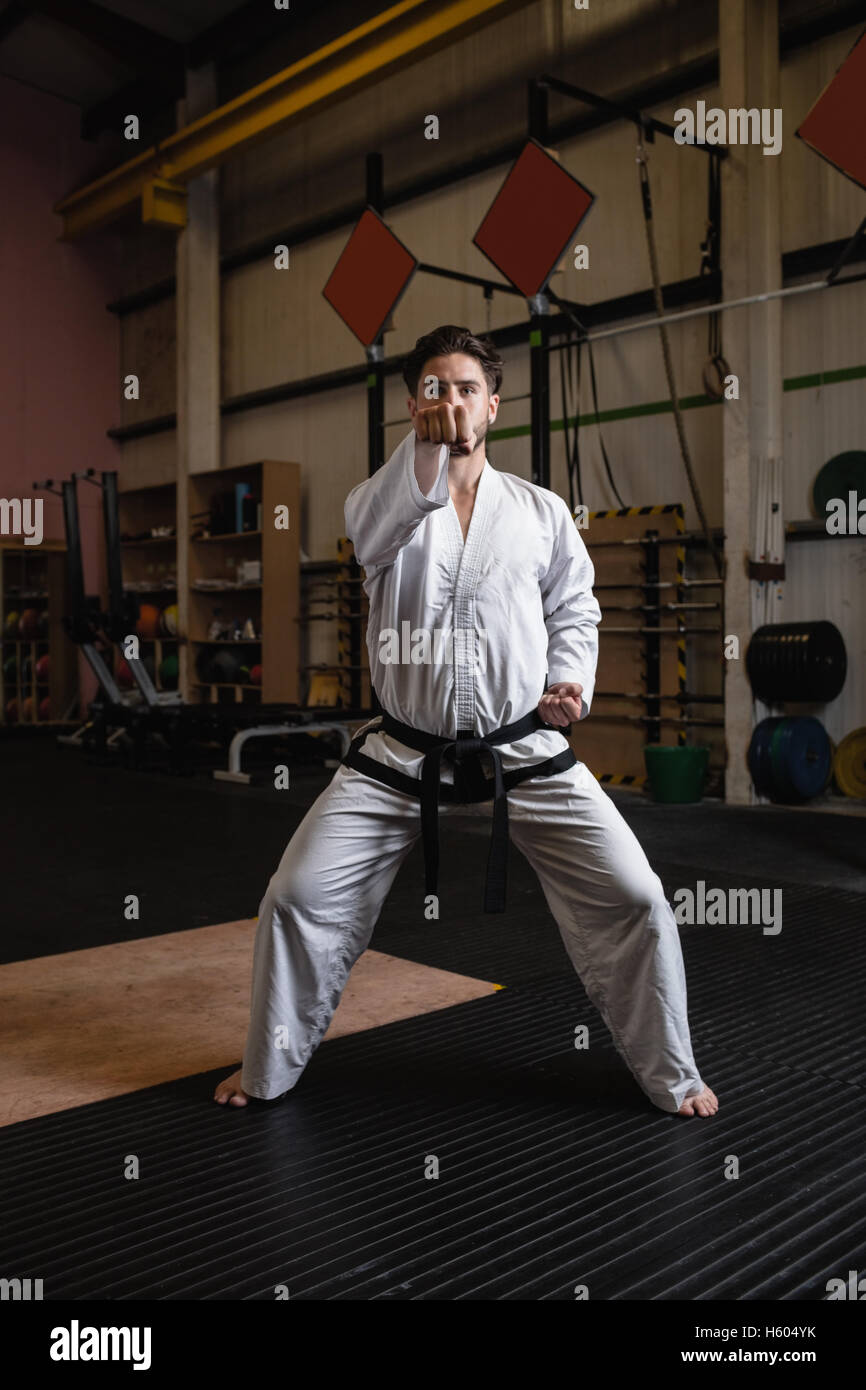 Man practicing karate Stock Photo - Alamy