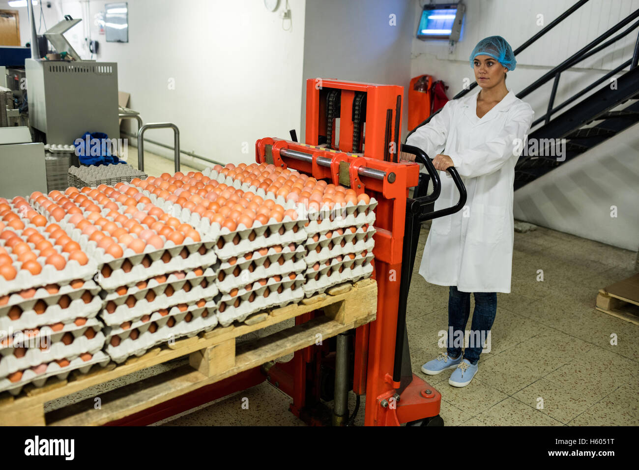 Female staff loading carton of eggs on pallet jack Stock Photo - Alamy