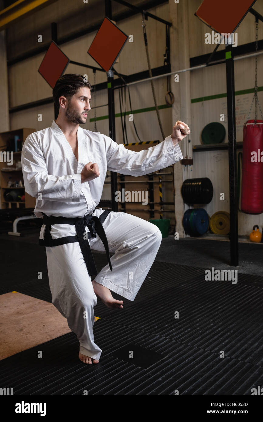 Man practicing karate Stock Photo - Alamy