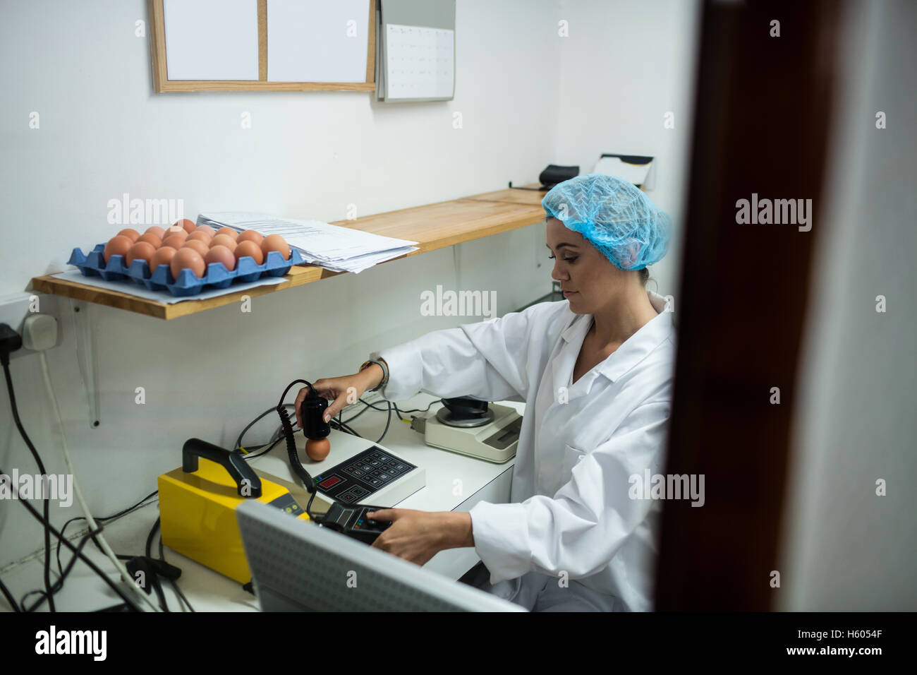 Shell inspecting machine hi-res stock photography and images - Alamy