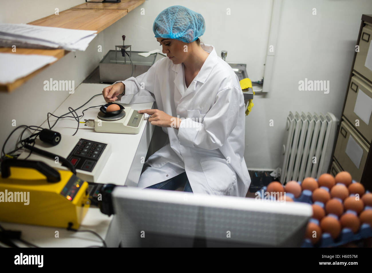 Female staff examine egg on digital egg monitor Stock Photo - Alamy