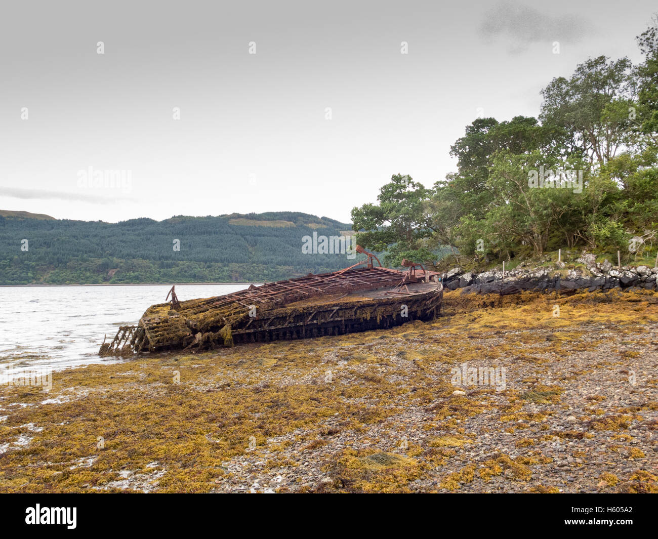 Abandoned ferry The Pride of Strome, built in 1962, lying on the banks ...