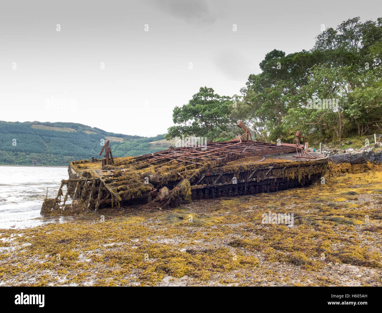 Abandoned ferry The Pride of Strome, built in 1962, lying on the banks ...